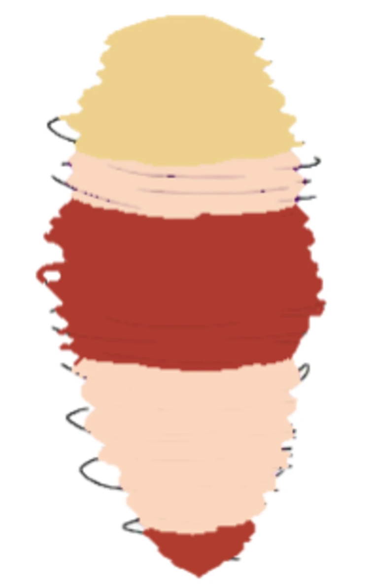 Risa pokemon The Power of Us | Spoof Wiki | Fandom