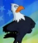 The New Daffy Duck Show idea 1 | Spoof Wiki | Fandom