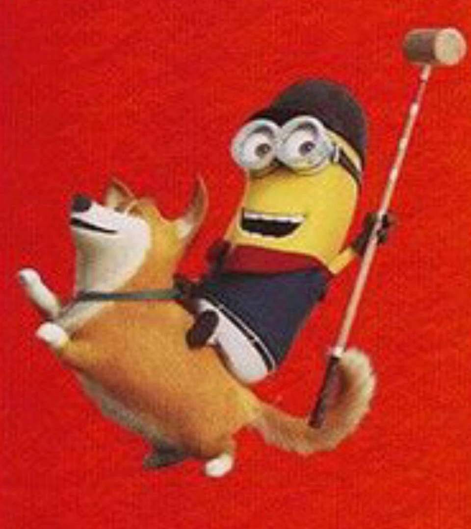 Corgi | Spoof Wiki | Fandom