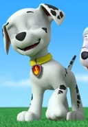 Finding Zuma | Spoof Wiki | Fandom