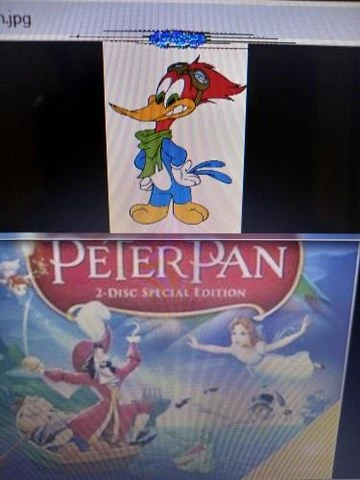 Woody Pan (WarnerBrosAndUniversalFan0319) | Spoof Wiki | Fandom