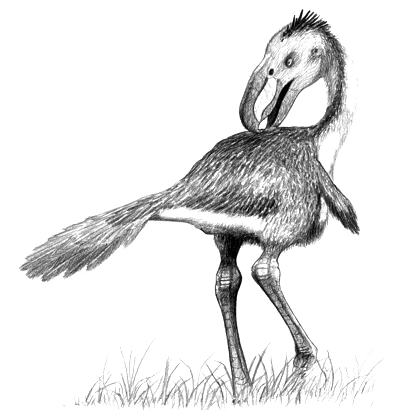 Dinosaur Train-terror bird watchers | Spoof Wiki | Fandom