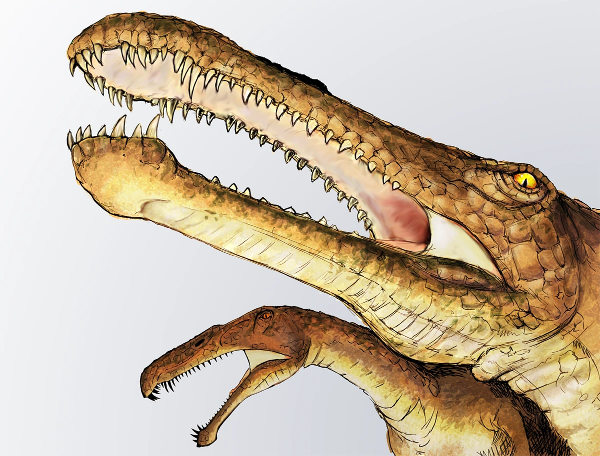 Irritator-Jurassic Kratts | Spoof Wiki | Fandom