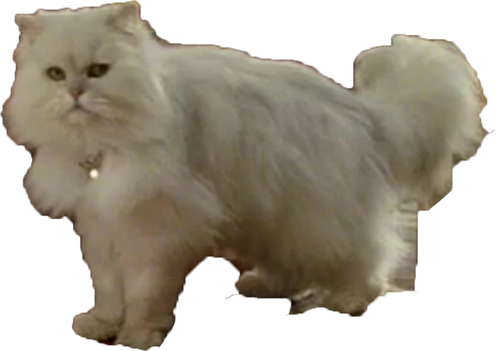 Snowbell and Stuart (Tom and Jerry) | Spooftopia Wiki | Fandom