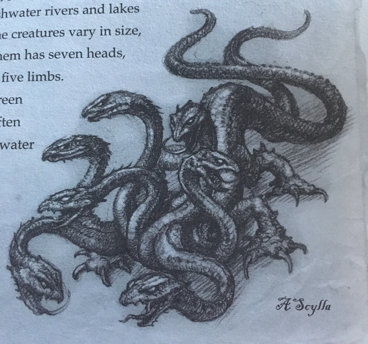 Scylla | The Spook's Wiki | Fandom