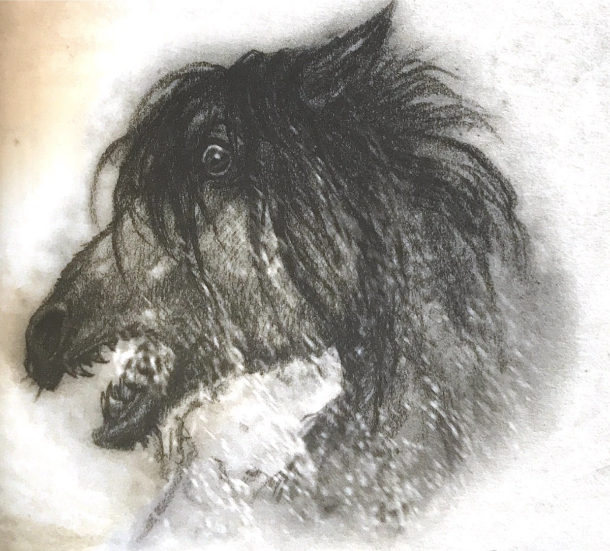 Kelpie | The Spook's Wiki | Fandom