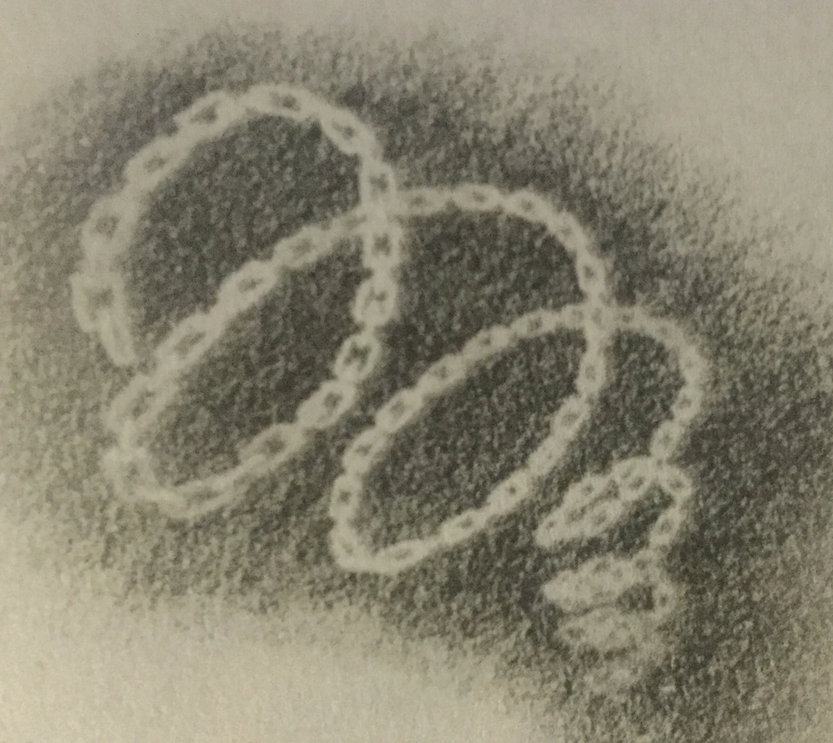 Silver chain | The Spook's Wiki | Fandom