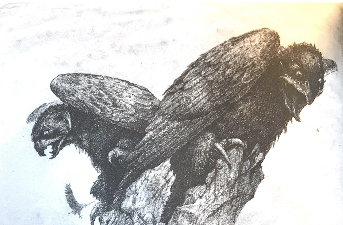 Harpies | The Spook's Wiki | Fandom