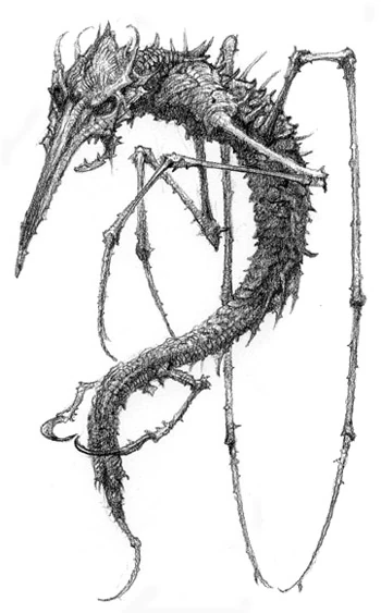 Skelt | The Spook's Wiki | Fandom