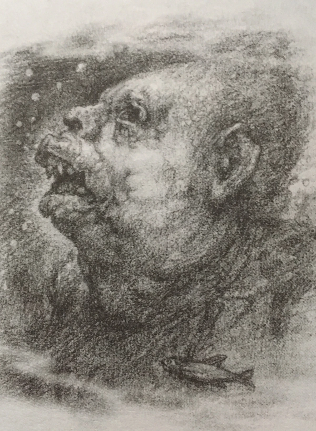 Wight | The Spook's Wiki | Fandom