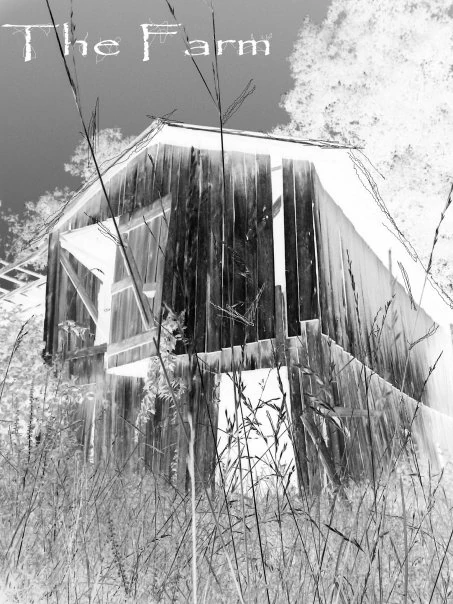 The Farm | Horror Fiction Wiki | Fandom