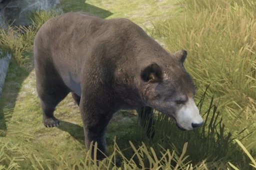 Mr. Bear | Spoonkid Wiki | Fandom