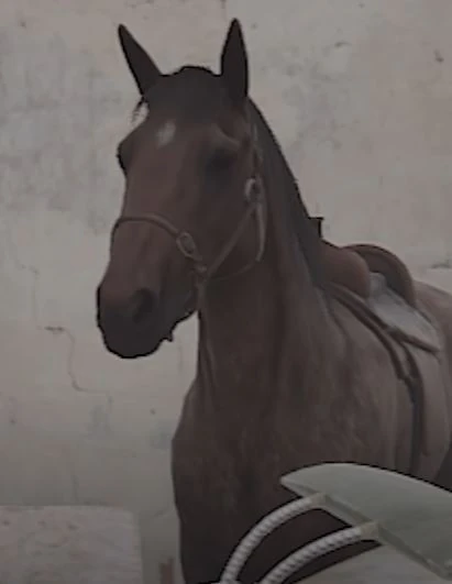 Mr Horse | Spoonkid Wiki | Fandom