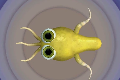 spore best evolution path