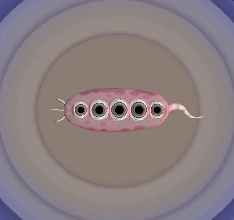 Minno | SporeWiki | Fandom