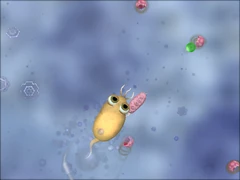 Fiction:Cell Stage And How It Works | SporeWiki | Fandom