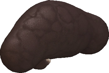 Poo | SporeWiki | Fandom