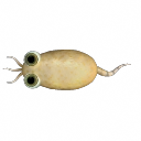 Oog | SporeWiki | Fandom