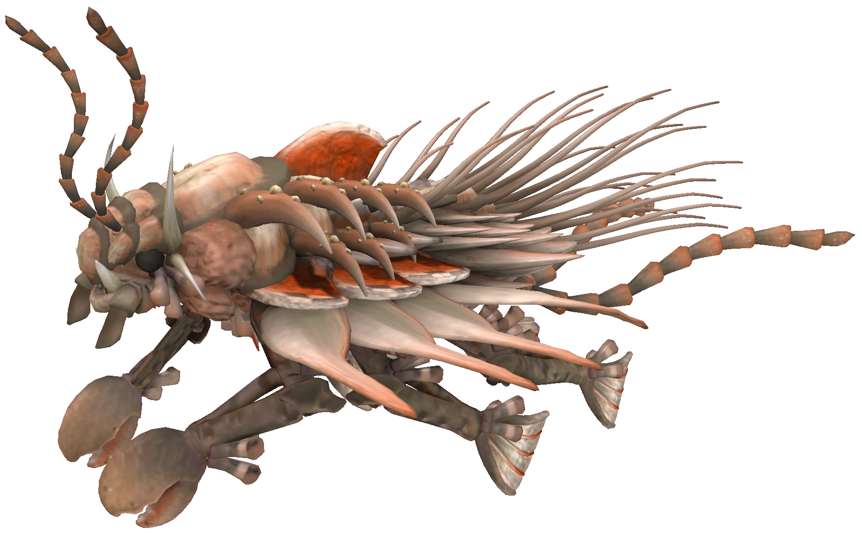 Creature:Fish Bug | SporeWiki | Fandom