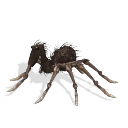 Creature:Scatter Spider | SporeWiki | Fandom