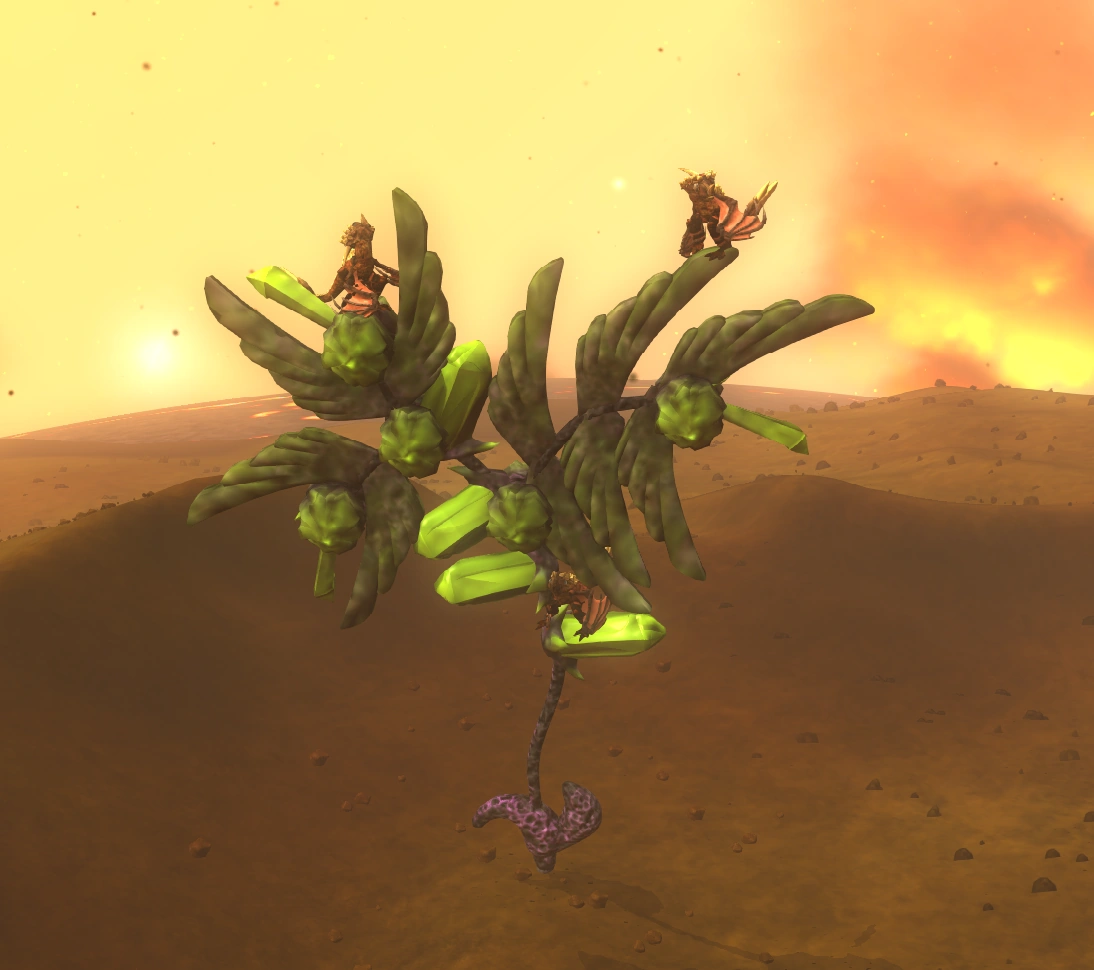 Taxon:Musaceae | SporeWiki | Fandom