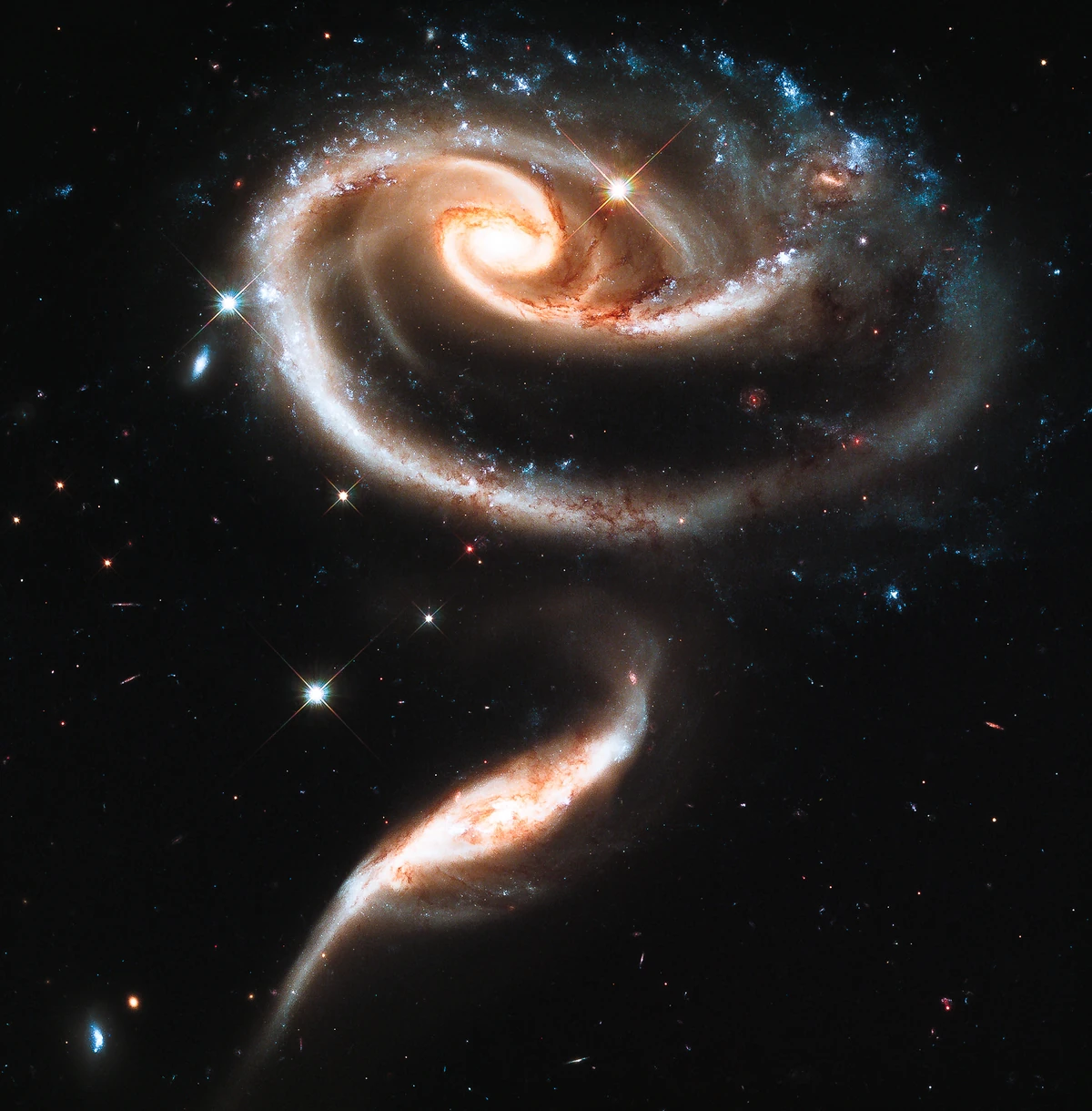 Fiction:Rohse Galaxy | SporeWiki | Fandom