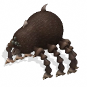 Creature:Araglog | SporeWiki | Fandom