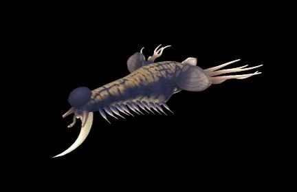 Taxon:Leptocardii | SporeWiki | Fandom