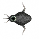 Noog | SporeWiki | Fandom