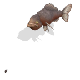 Creature:Pirba | SporeWiki | Fandom