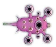 Eyeful | SporeWiki | Fandom