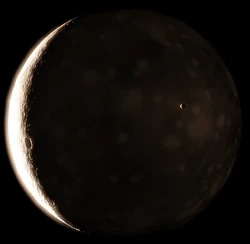 Fiction:Aldra | SporeWiki | Fandom