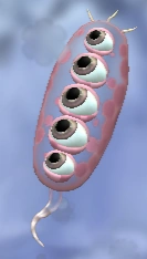 Minno | SporeWiki | Fandom