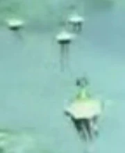 Tamaran | SporeWiki | Fandom