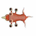 Cell:Tootoo | SporeWiki | Fandom