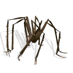 Creature:Deadly Long Legs | SporeWiki | Fandom