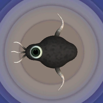 Noog | SporeWiki | Fandom