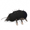 Creature:Eusquirmite | SporeWiki | Fandom