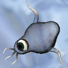 Calvilha | SporeWiki | Fandom