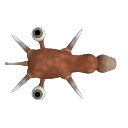 Creature:Cow | SporeWiki | Fandom