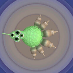 Proboscis | SporeWiki | Fandom