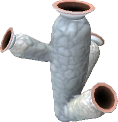 Creature:Bleached Beach Sponge | SporeWiki | Fandom