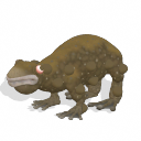 Umbertoad | SporeWiki | Fandom