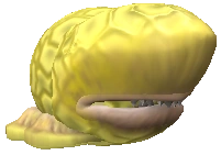 Creature:Canyon Dumple | SporeWiki | Fandom