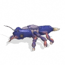 Creature:Capillear | SporeWiki | Fandom