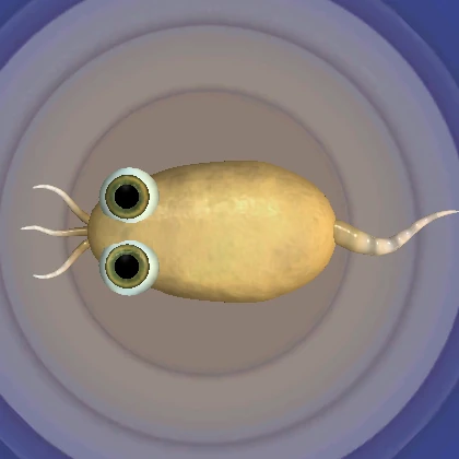 Oog | SporeWiki | Fandom