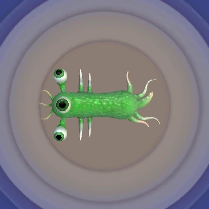 Squiggly | SporeWiki | Fandom