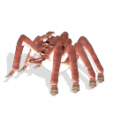 Creature:Spider May | SporeWiki | Fandom