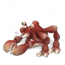 Crab | SporeWiki | Fandom