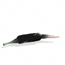 Creature:Burak Biotech Units | SporeWiki | Fandom